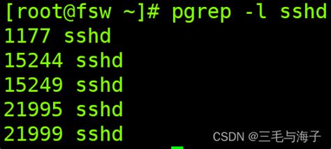 Linux 查看进程 Ps 命令 详解ps查看进程号 Csdn博客 Linux 查看进程 Ps 命令 详解ps查看进程号 Csdn博客
