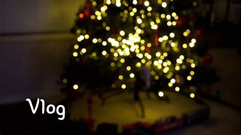 🇺🇸미국일상 Vlog 24 12월 일상 모음• 크리스마스🎅🏻 •🎄트리 쿠키하우스 만들기• 자장면 방어회🐟• 연휴 내내 열심히 밥 해먹기🍚 Youtube