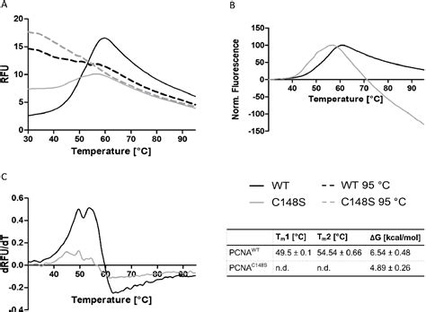 Figure 8 From A Fret Based Assay For The Identification Of Pcna Inhibitors Semantic Scholar
