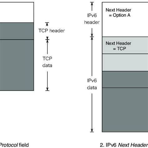 5 The Protocol Field In The Ipv4 Header And The Next Header Field In