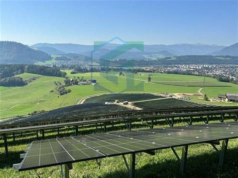 Customized Ground Mounted Solar Structure Suppliers Factory Custom Service Grengy