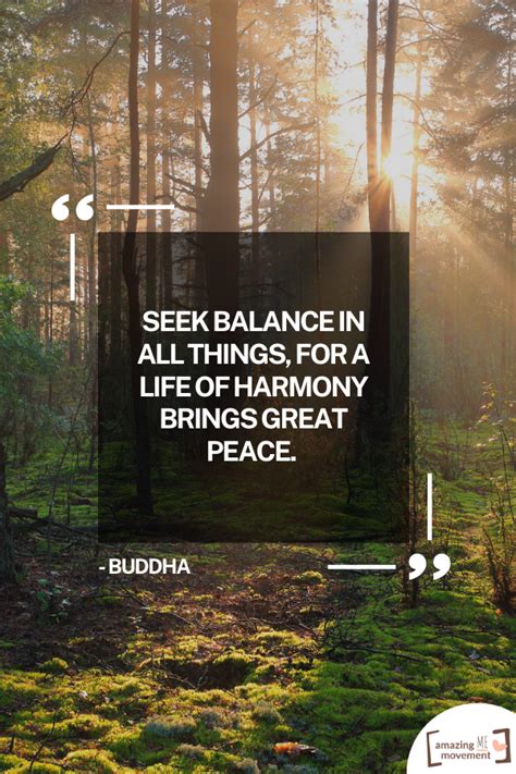20 Quotes On Balance And Harmony A Lesson On Honing Peace ⋆