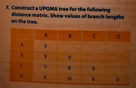 Solved Construct A Upgma Tree For The Following Distance