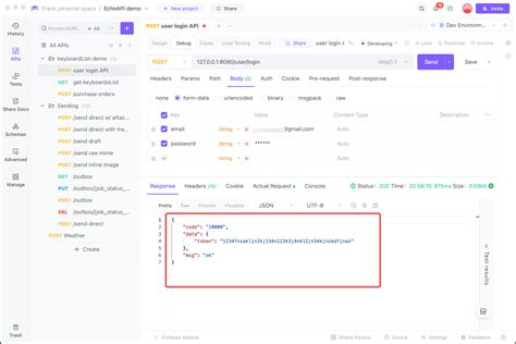 Echoapi Tutorial Mastering Environment Setup Token Configuration And Api Testing For Developers