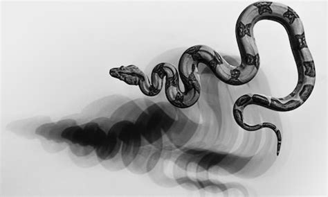 Sensing For Continuum Robots Part 1