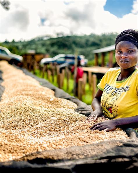 The Dancing Bean Added A New Photo — At The Dancing Bean