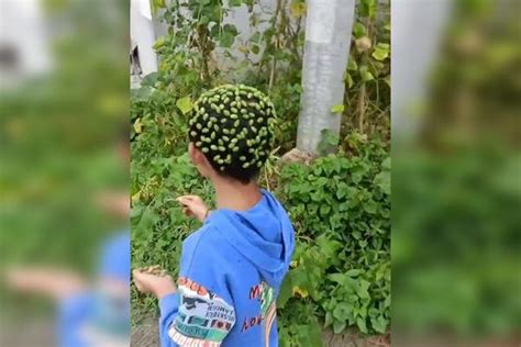 用真球给自己做了个绿帽子男孩子的童年就是这么无忧无虑的 绿帽子 男孩子 真球