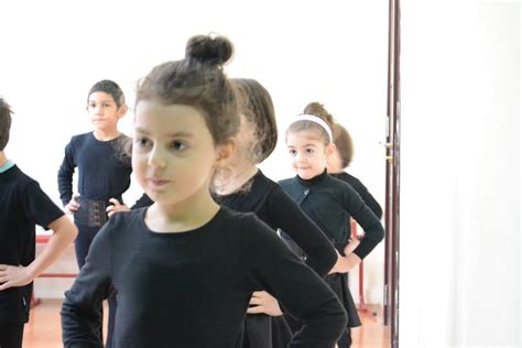 ახალი ქართული ახალი ქართული სკოლა New Georgian School