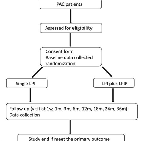 Participant Flow Diagram Lpi Laser Peripheral Iridotomy Lpip Laser Download Scientific