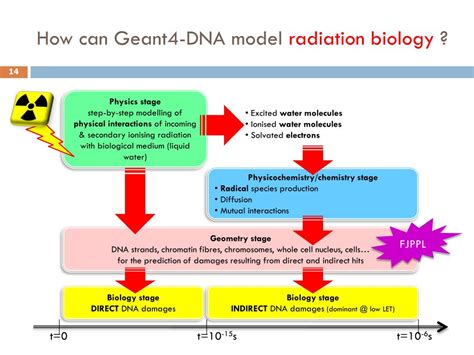 Ppt Bio 1 New Developments Of The Geant4 Monte Carlo Simulation