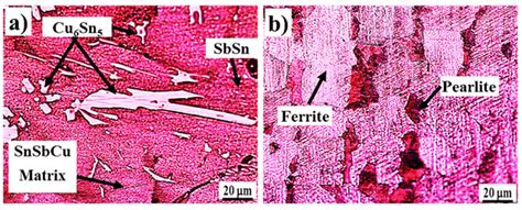 Microstructures Of A Tin Based Babbitt Alloy And B Steel