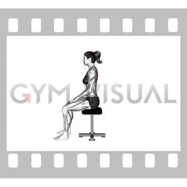 Sitting Scapular Adduction VERSION Female