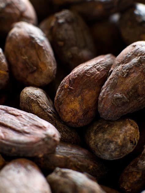 How To Make Cocoa Powder From Cocoa Beans
