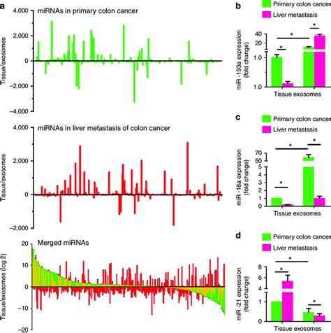 Mirna Profile From Exosomes Is Different From Their Donor Cells A