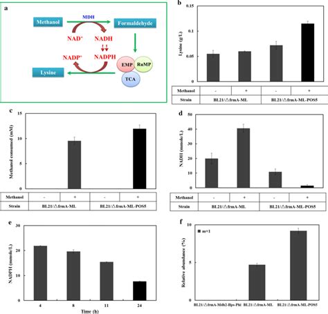 Improved Lysine Production In Synthetic Methylotrophic E Coli A Download Scientific Diagram
