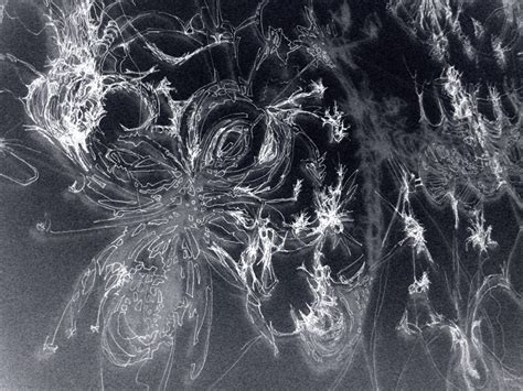 Digital — Darcy Johnson Artist Writer