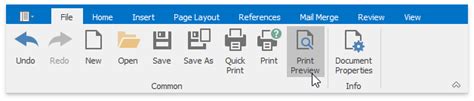 How To Print A Document WinForms Controls DevExpress Documentation