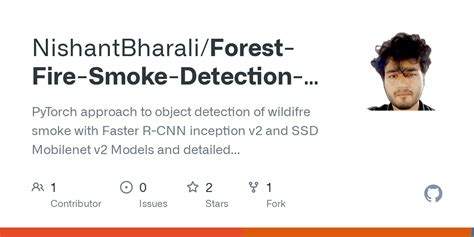 Forest Fire Smoke Detection Using Vision And Deep Learning Modelspytorch Object Detection