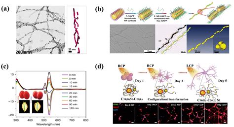 Gold Nanoparticle Based Chiral Plasmonic Nanostructures And Their Biomedical Applications