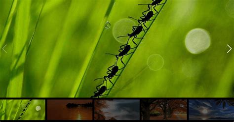 Swiper React Thumbs Gallery Forked Codesandbox