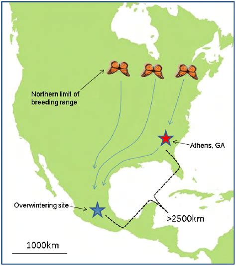 Monarch Butterfly Migration Map Monarch Butterfly Migration Map