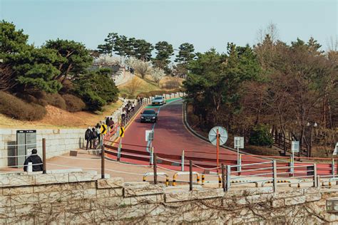 거리 사진 거리 장면 건물 공공 장소 길거리 카페 꽃 대한민국 도시 도시 경관 도시 관광 도시 사진 도시 성격 도시 탐사 도시 풍경 도시의 삶