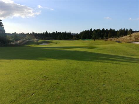 제주골프장 사이프러스cc 라운딩 후기 네이버 블로그