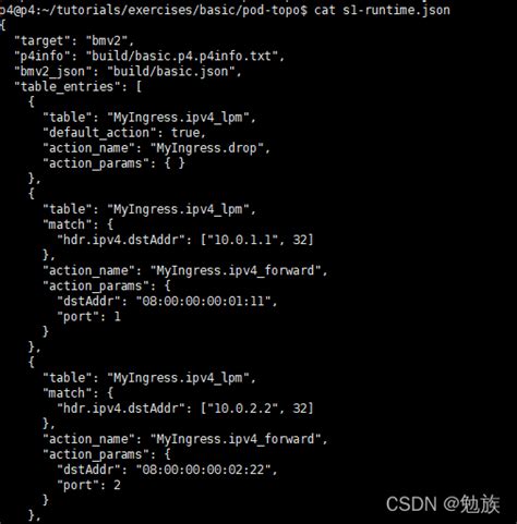 P4 Tutorials Basic Forwarding Csdn博客
