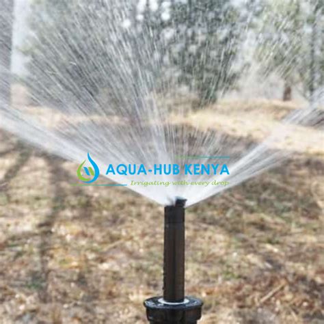 What Is A Overhead Irrigation System At Chloe Austin Blog
