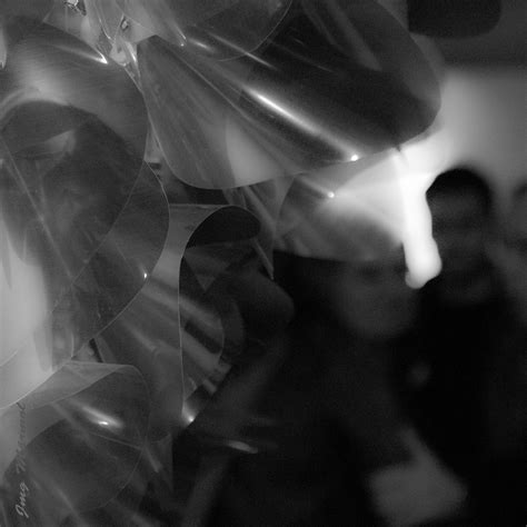 David Hamilton Asociación Punto De Enfoque