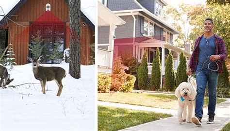 Driveway Patrol Motion Activated Alert System Pulsetv