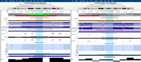 Case Report Novel Biallelic Moderately Damaging Variants In Rttn In A