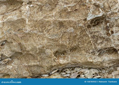Rust Stone Texture Rock Texture And Background Stock Photo Image Of Concretion Granite