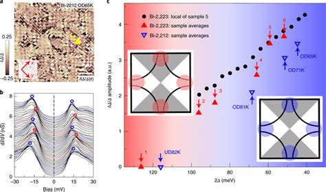 Universality Of The Particlehole Asymmetry And Its Doping Evolution A Download Scientific
