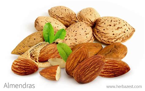 Almendra Herbazest