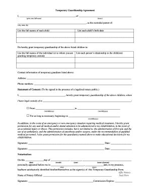 Florida Temporary Custoty Form Falasiron