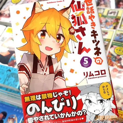 덕밍월드 [만화 도우미 여우 센코씨 5권 발매 모습 ] 만화 도우미 여우 센코씨 단행본