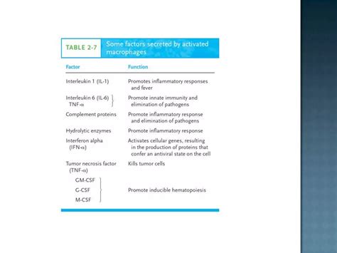 Respiratory Burst By Phagocytosis Pptx