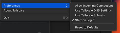 Unexpected DNS Over HTTPS Queries For Localhost Issue Tailscale Tailscale GitHub