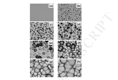 Microscope Images Of CR 39 Detector Irradiated With Alpha Particle Of Download Scientific