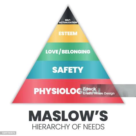 인간 동기 부여 이론의 벡터 피라미드 그림은 계층 구조 수준에서 인간의 의사 결정이 생리적 안전 사랑과 소속 존중 및 자생학적 요구인 방법입니다 피라미드 건축물에 대한 스톡