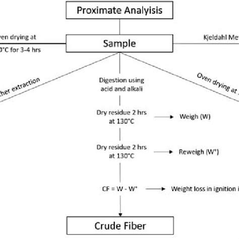 Proximate Analyusis Procedures Download Scientific Diagram