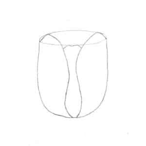 How To Draw A Tulip Easy Step By Step