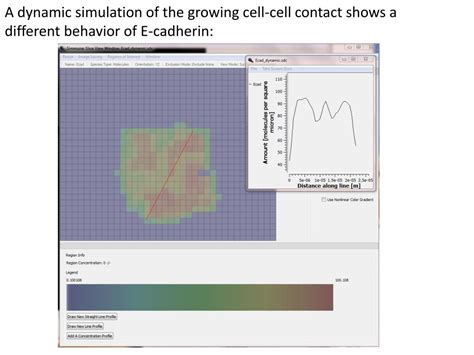 Ppt Rule Based Spatially Resolved Modeling Of Cellular Signaling Processes Powerpoint