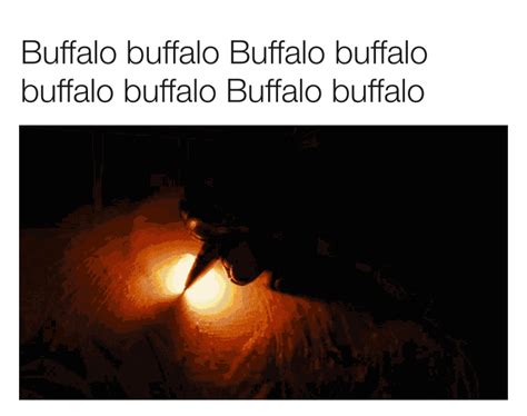 Grammatically Correct Sentence In The English Language R Whenthe