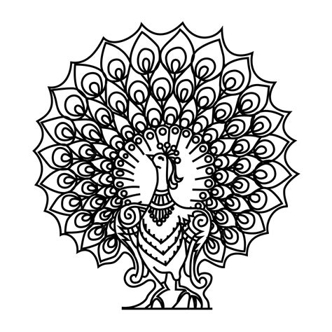 Premium Vector Peacock Design Line Art Illustrations