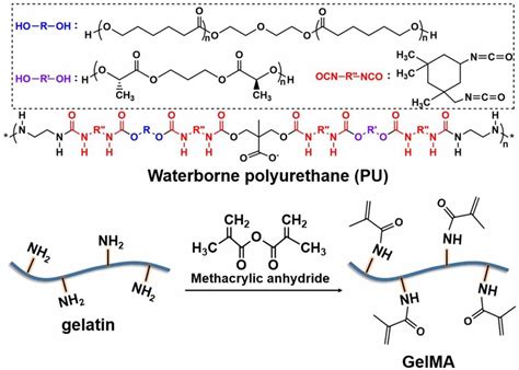 Gelatin Structure I Tried The New Salon X Tend Led Soft Gel Nail