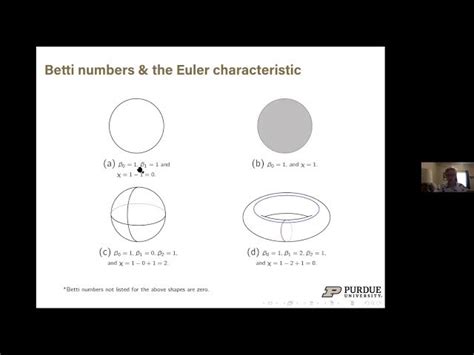 Free Video Andrew Thomas Functional Limit Theorems For Euler