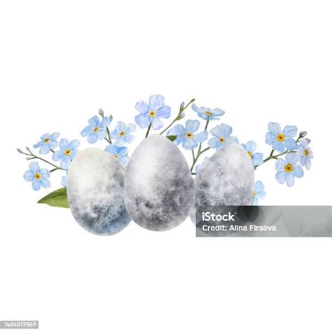 흰색 배경에 격리된 계란과 물망초의 수채화 부활절 그림 0명에 대한 스톡 벡터 아트 및 기타 이미지 0명 꽃 나무 꽃 꽃의 구조 Istock