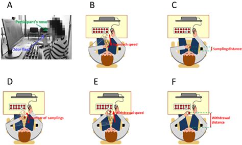 Motor Parameters A Example Of A Participant Exploring Odor Flask We